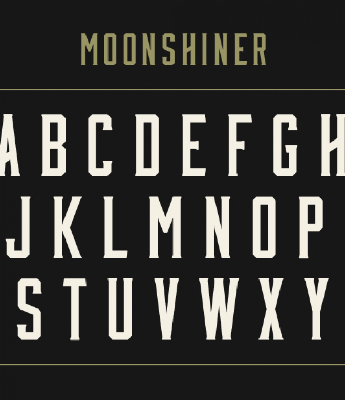 Bizon Font